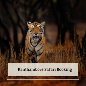 Best time to Visit Ranthambore National Park | Sawai Madhopur